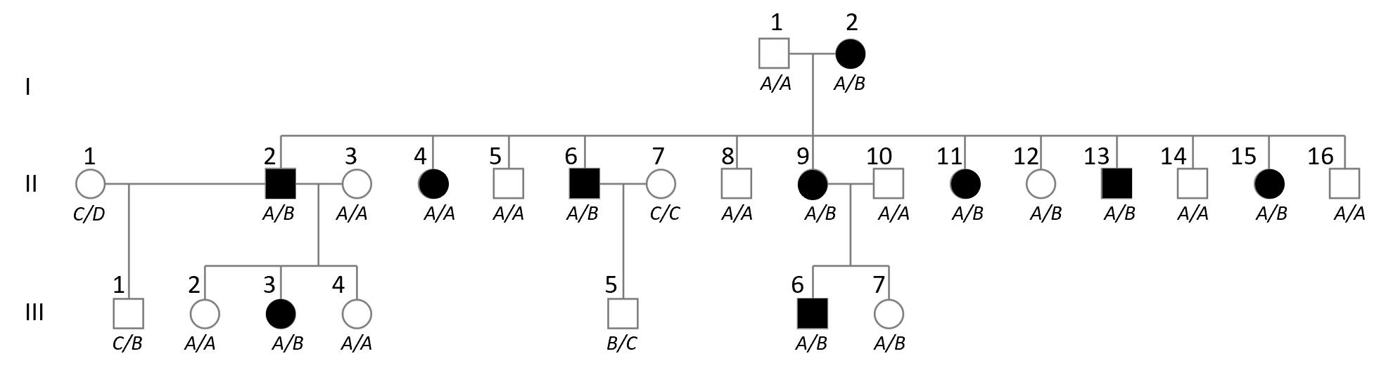 Solved Researchers believe the gene responsible for the | Chegg.com
