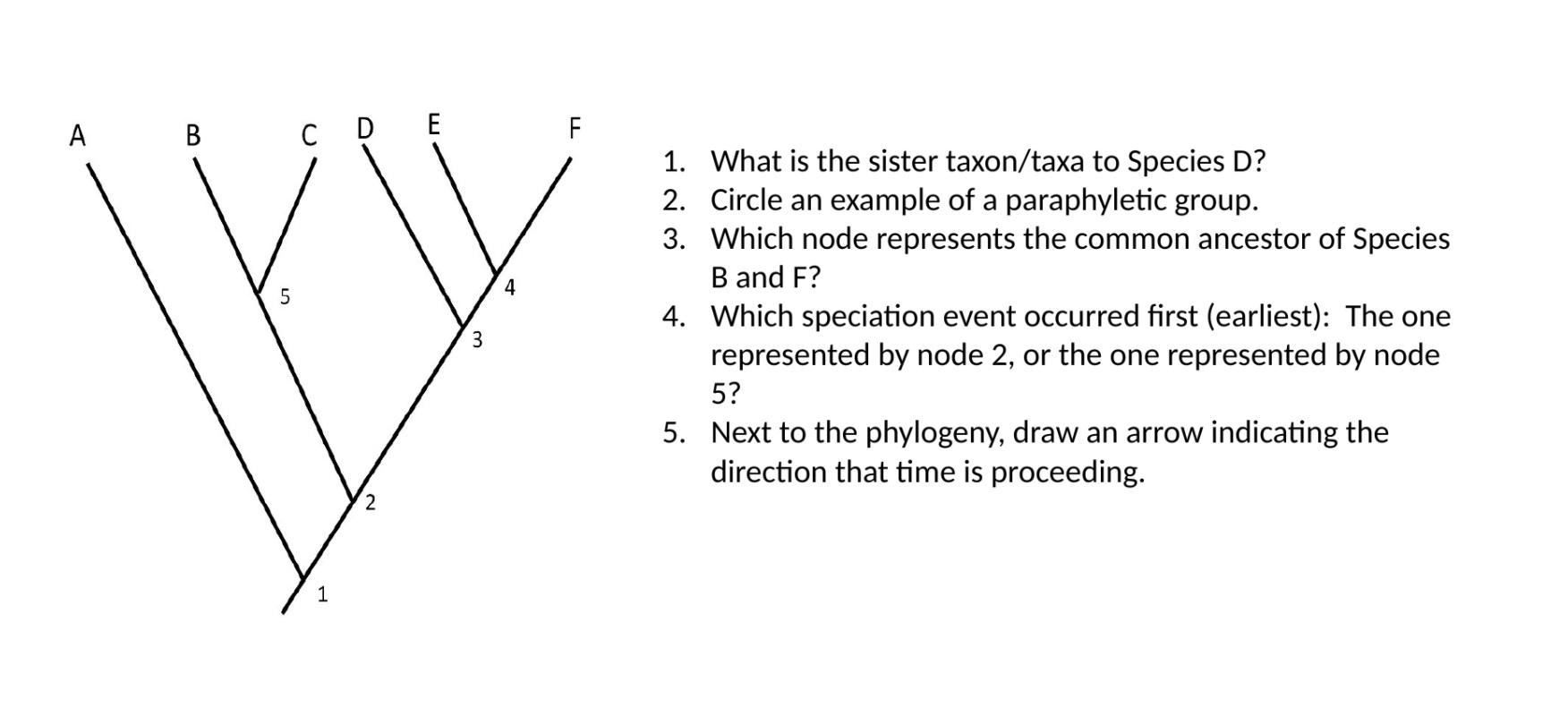 A B C D E F 4 5 1. What is the sister taxon/taxa to | Chegg.com