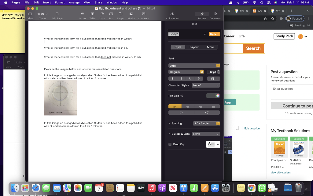 Solved Pages File Edit Insert Format Arrange View IS Q Mon | Chegg.com