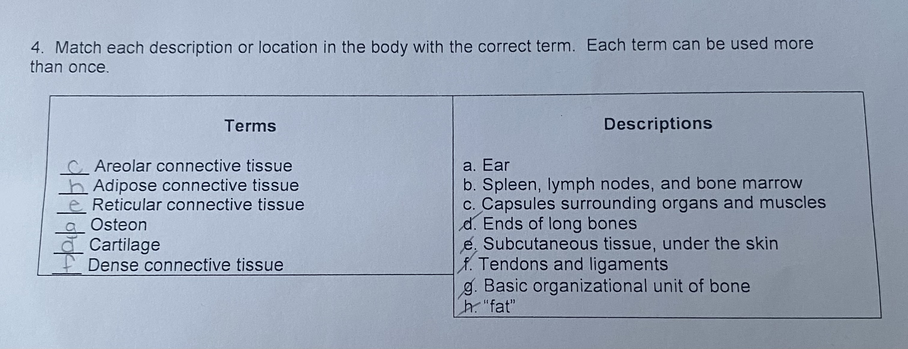 Match each description or location in the body with | Chegg.com