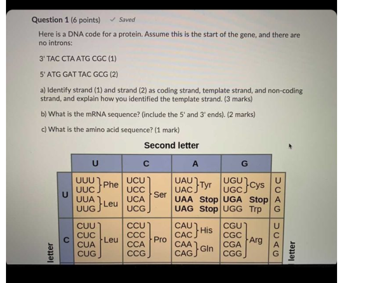 Solved Question 1 (6 points) Saved Here is a DNA code for | Chegg.com