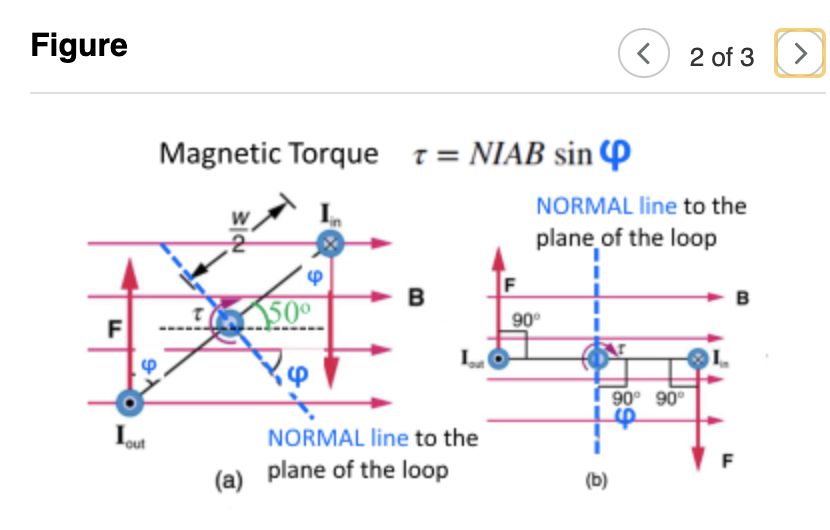 Solved Learning Goal: Magnetic Torque The effects due to the | Chegg.com