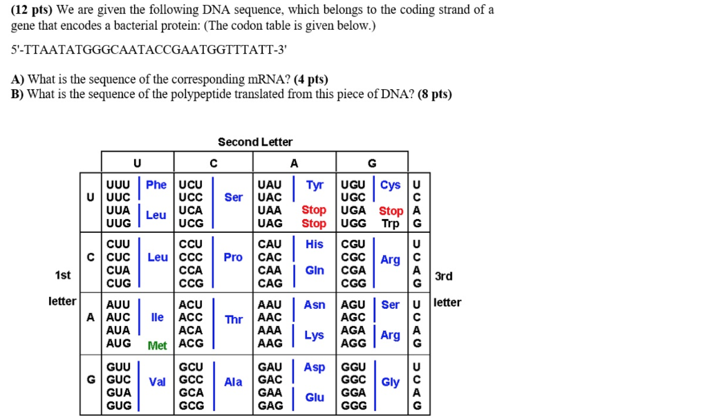 Solved (12 pts) We are given the following DNA sequence, | Chegg.com