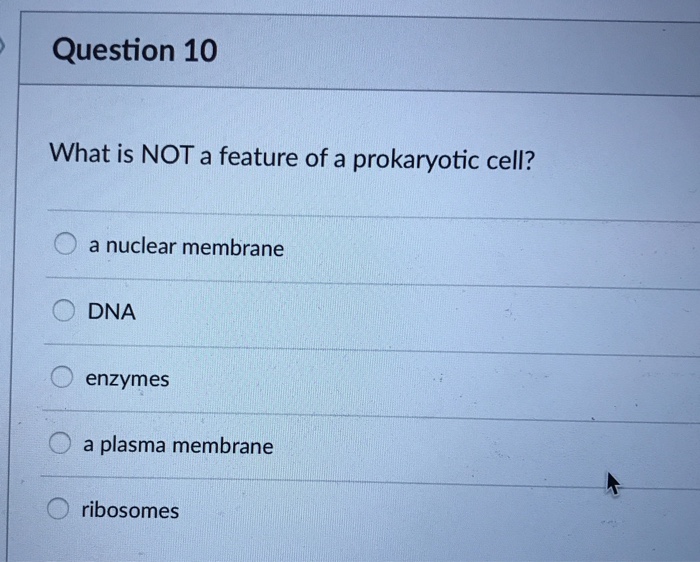 Solved Question 10 What is NOT a feature of a prokaryotic | Chegg.com