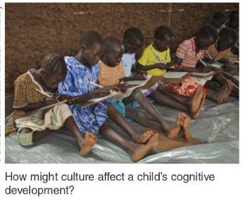 Solved How might culture affect a child's | Chegg.com