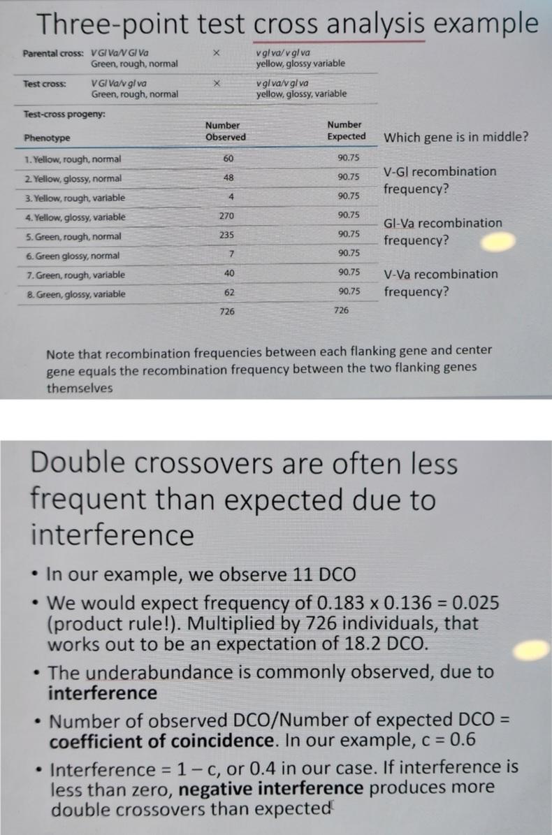 Solved Genetics three point test cross. Please answer the | Chegg.com