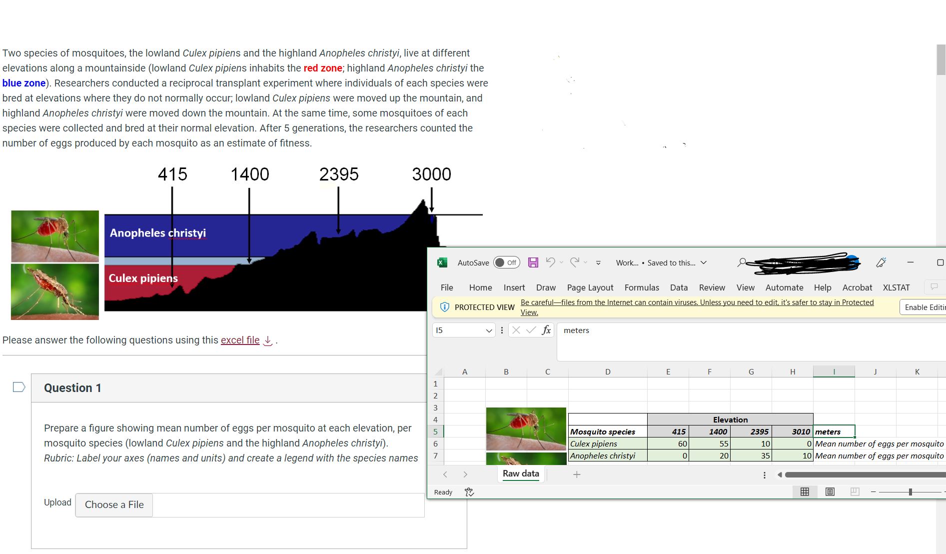 Solved Two species of mosquitoes, the lowland Culex pipiens | Chegg.com