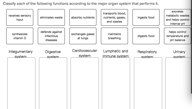 Solved Classify each of the following functions according to | Chegg.com