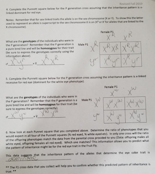 Solved Prior To The Last Part Of The Fruit Fly Lab Data