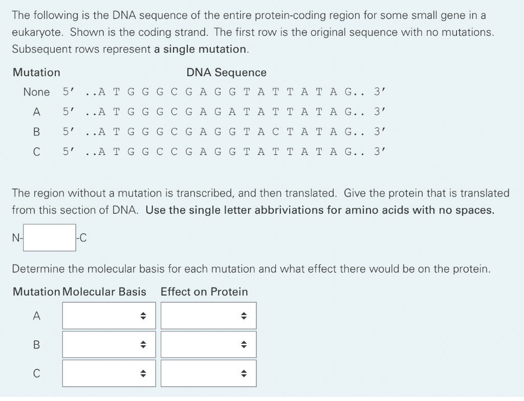 Solved Mutation Molecular Basis options: transition or | Chegg.com