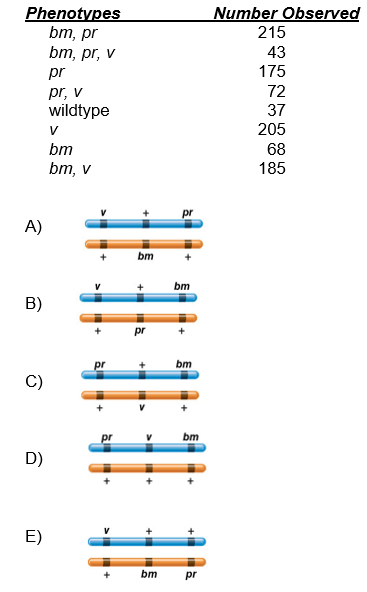 Solved I want to do a 3 point mapping experiment in maize | Chegg.com