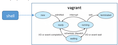 A typical operating system process lifecycle state | Chegg.com