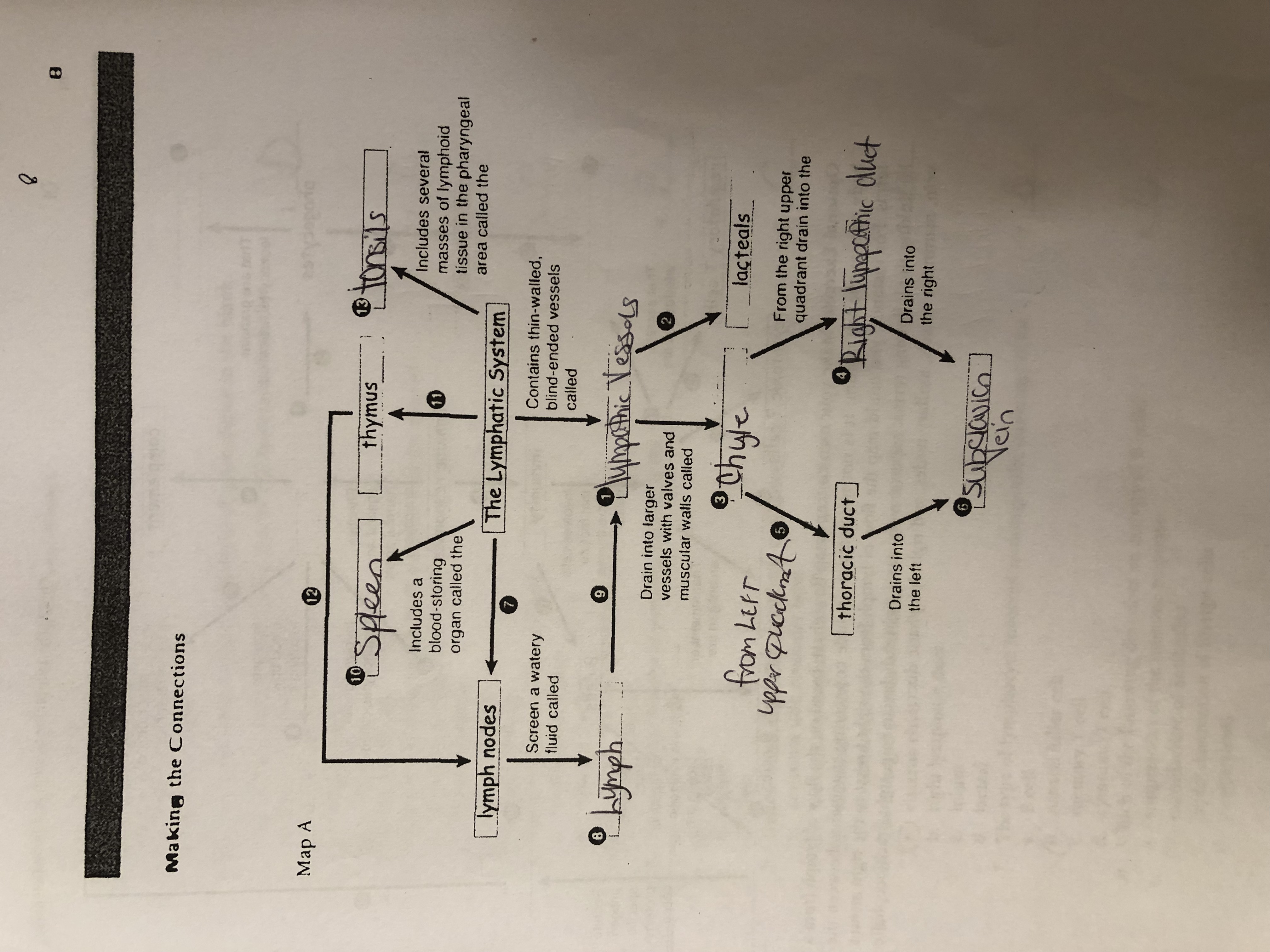 Solved Making the Connections | Chegg.com