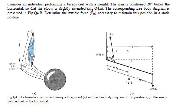 Solved Consider an individual performing a biceps curl with | Chegg.com