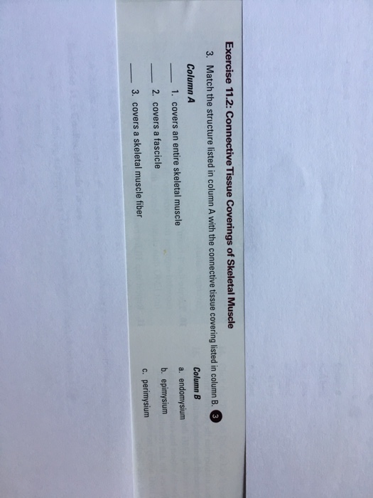 Solved Match the structure listed in column A with the | Chegg.com