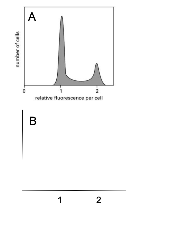 Solved Flow cytometry is a commonly used technique for | Chegg.com