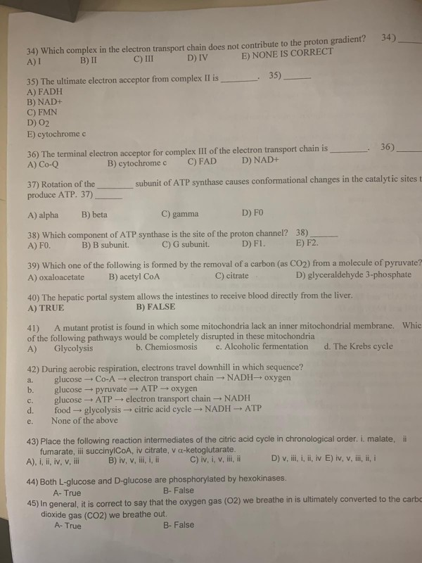 Solved in glycysts, there is a net vield of two molecules of | Chegg.com