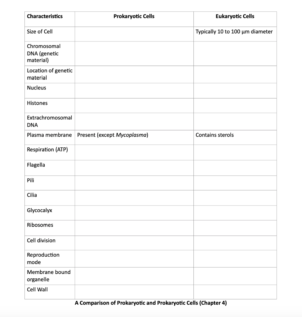 Solved A Comparison of Prokaryotic and Prokaryotic Cells | Chegg.com