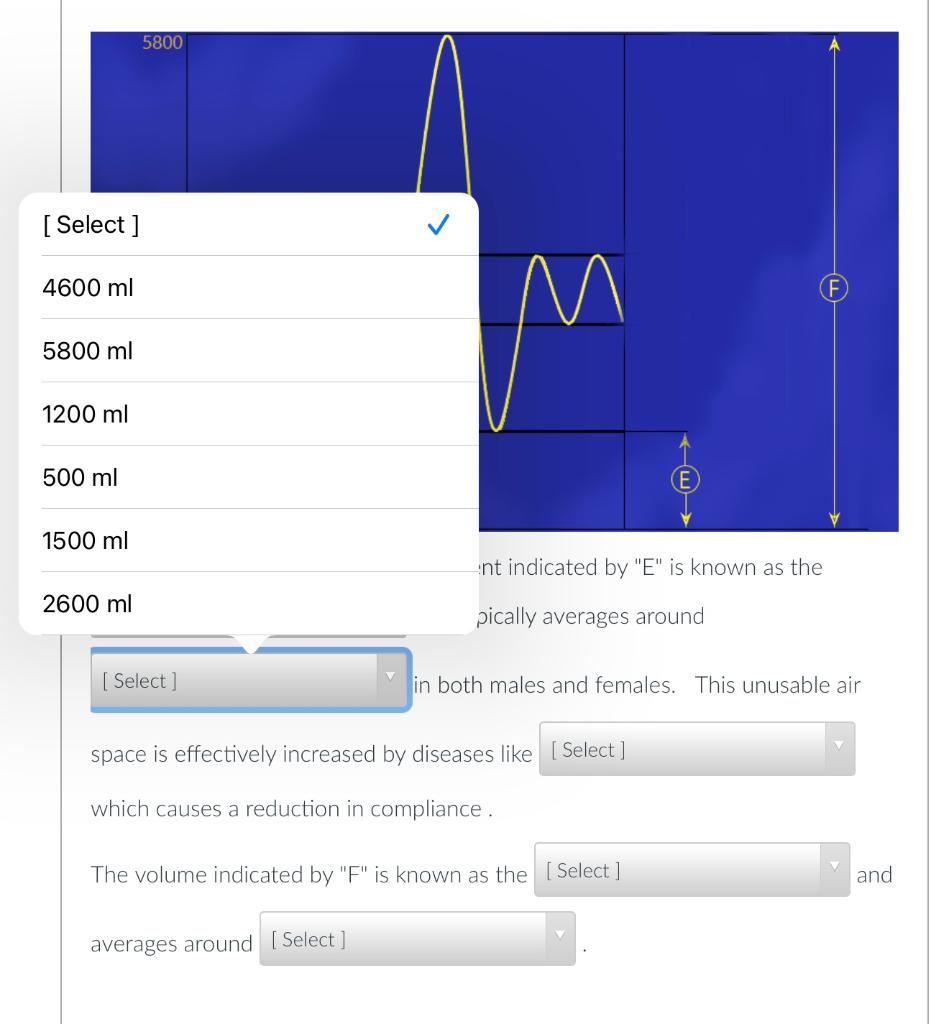 Solved 5800 2800 EmWM m 2300 1200 E 0 In the spirogram | Chegg.com