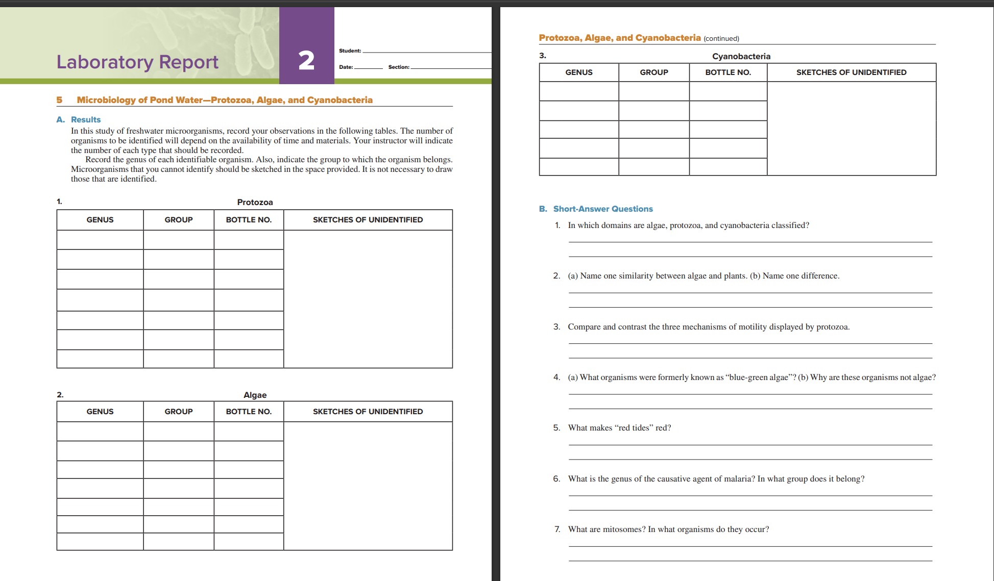 Solved Laboratory Report 2 Student: Protozoa, Algae, and | Chegg.com