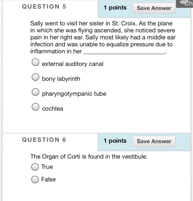 Solved QUESTION 5 1 points Save Answer Sally went to visit | Chegg.com Solved QUESTION 5 1 points Save Answer Sally went to visit | Chegg.com