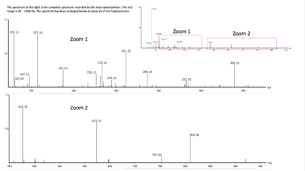 The next two slides are a MS1 (precursor ion) scan | Chegg.com