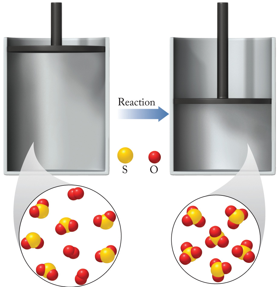 Solved The process illustrated here takes place at | Chegg.com