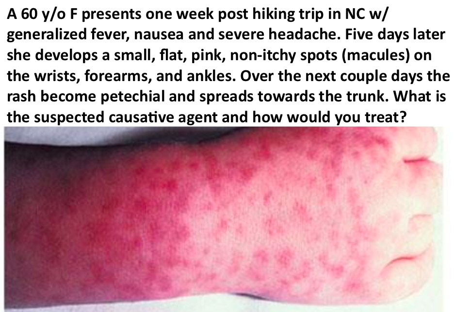 Gonococcemia Rash