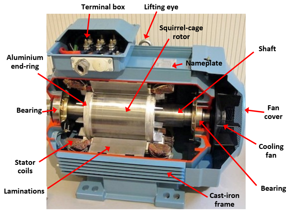 Solved A typical 3-phase Induction Machine is shown below. | Chegg.com