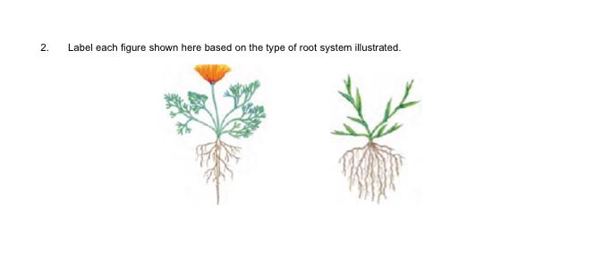 Solved 2. Label each figure shown here based on the type of | Chegg.com