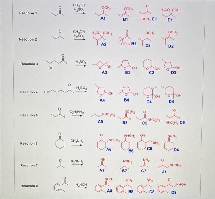 Solved I have B1, D2, B3, D4, A5, D6, B7, and A8 for the | Chegg.com