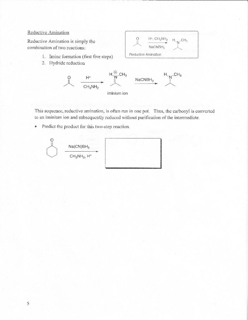 Solved Reductive Amination Reductive Amination is simply the | Chegg.com