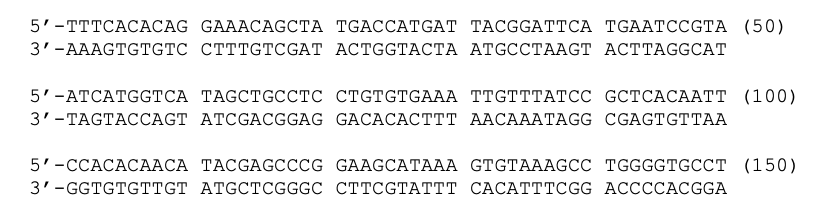 Solved Using the DNA sequence: Find the Pribnow box and -35 | Chegg.com