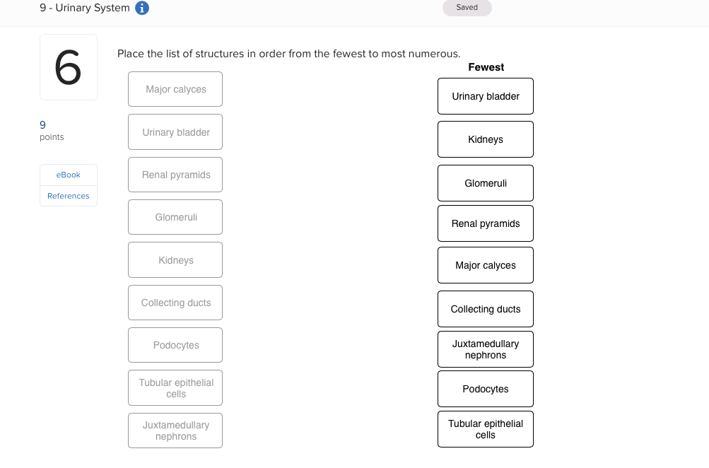 Solved 9 - Urinary System Saved 6 Place the list of | Chegg.com