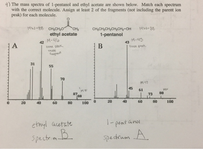 Solved The mass spectra of 1 -pentanol and ethyl acetate are | Chegg.com