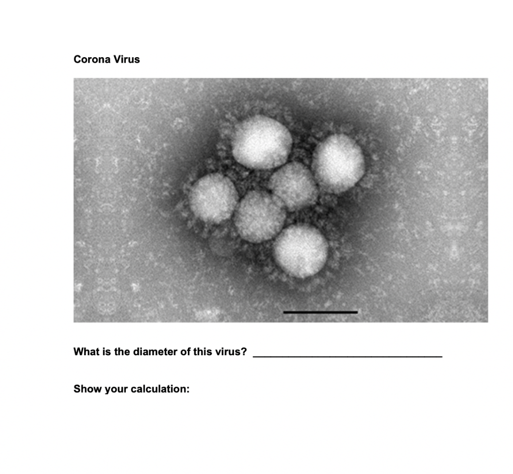 Solved Lab 7: Viral Diversity Introduction: In today's lab | Chegg.com