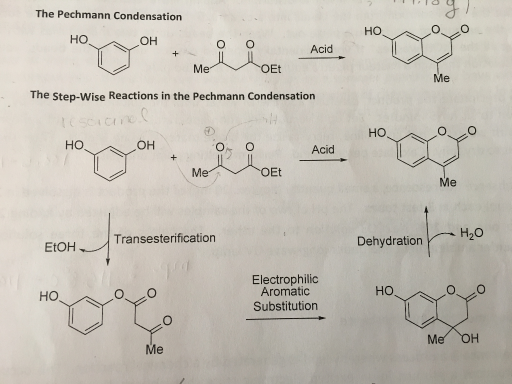 Solved Please help I'm having trouble seeing what is doing | Chegg.com