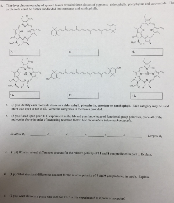 Solved 8. Thin-layer chromatography of spinach leaves | Chegg.com
