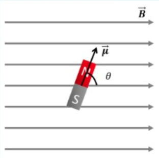 Solved A magnet forms an angle θ = 50 ° with a magnetic | Chegg.com