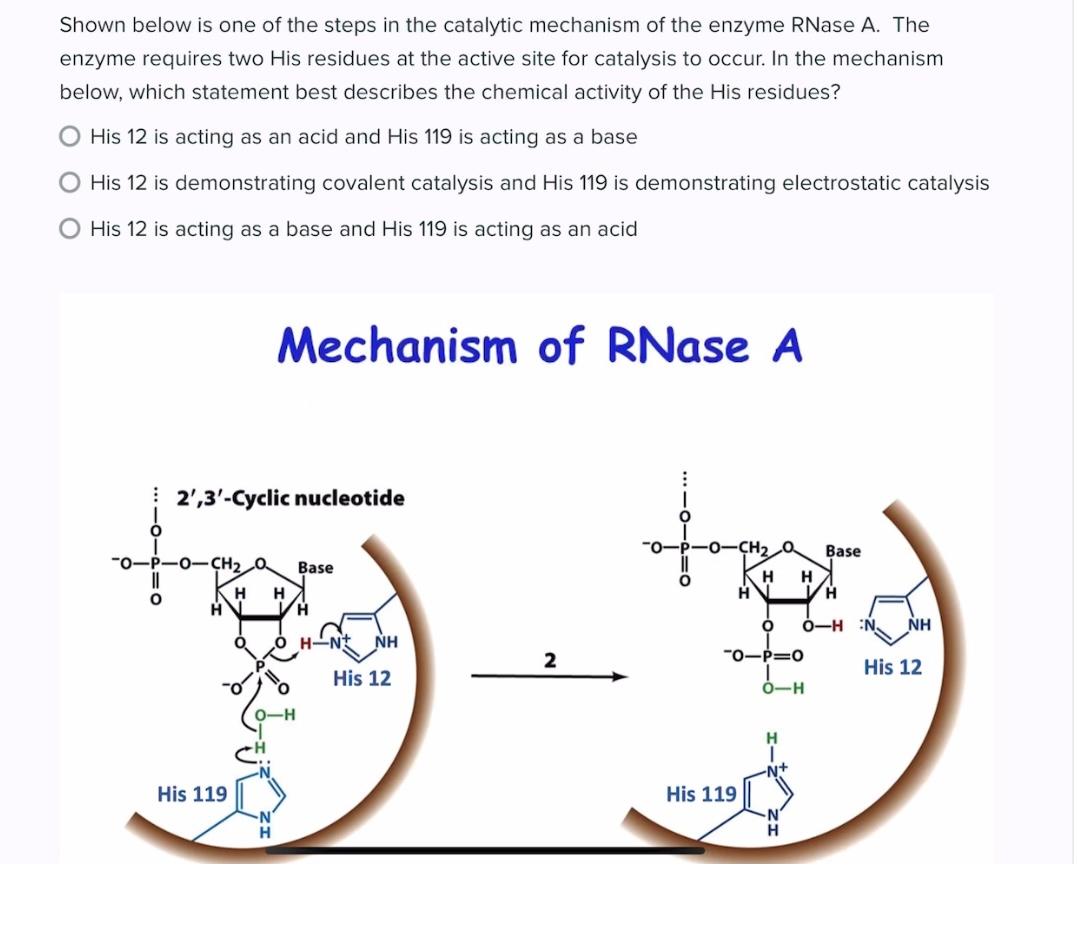 Solved Shown below is one of the steps in the catalytic | Chegg.com