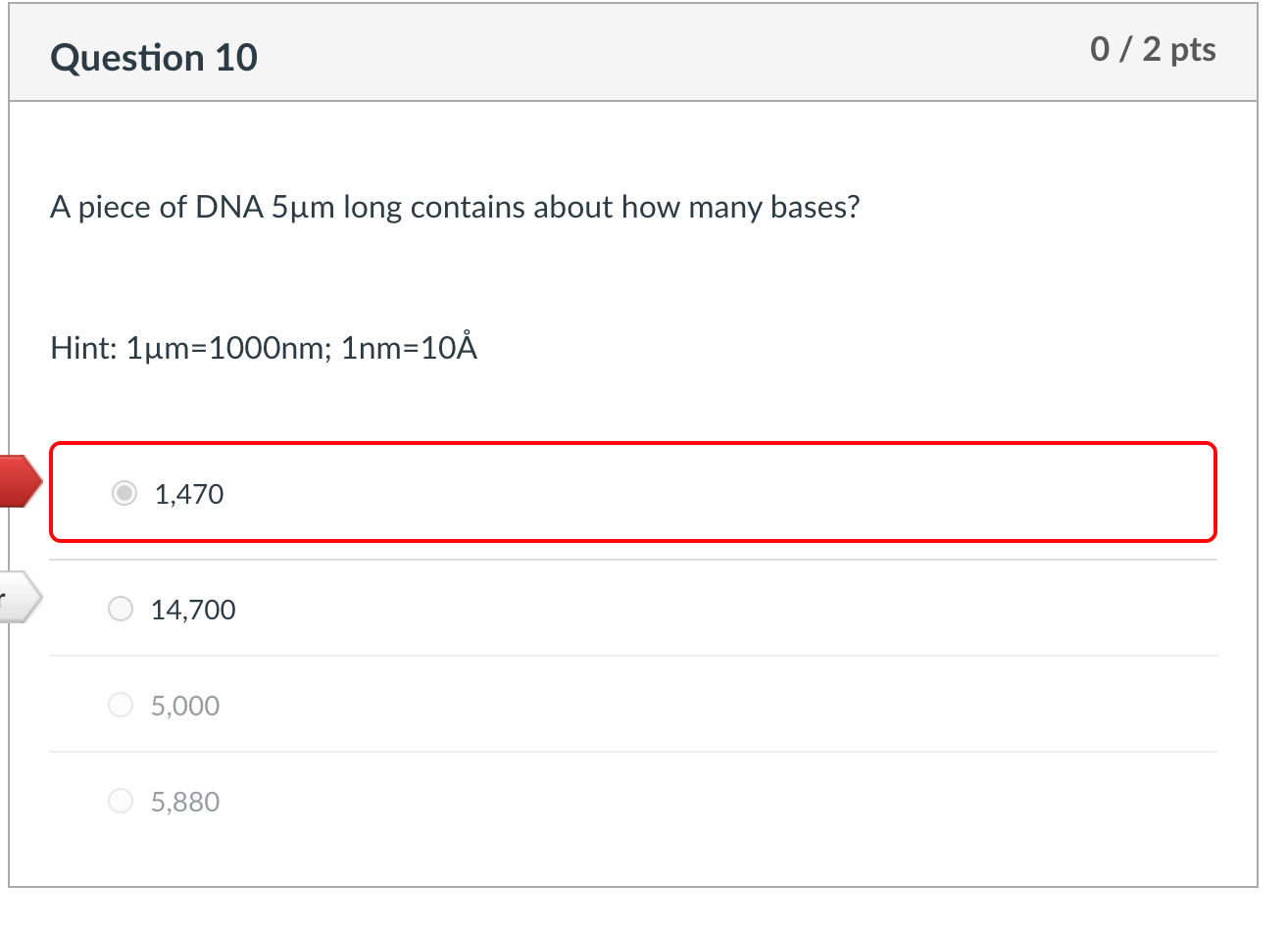 Solved Question 10 0 / 2 pts A piece of DNA 5um long | Chegg.com