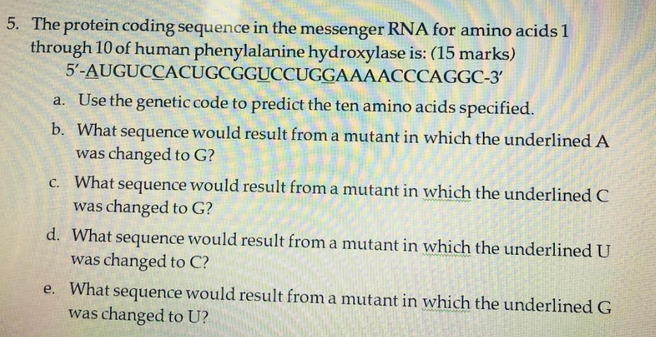 Solved 5. The protein coding sequence in the messenger RNA | Chegg.com