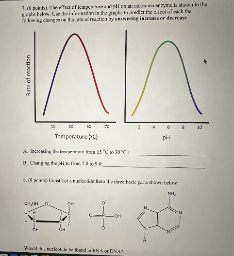 Solved 7. ( 6 points). The effect of temperature and pH on | Chegg.com