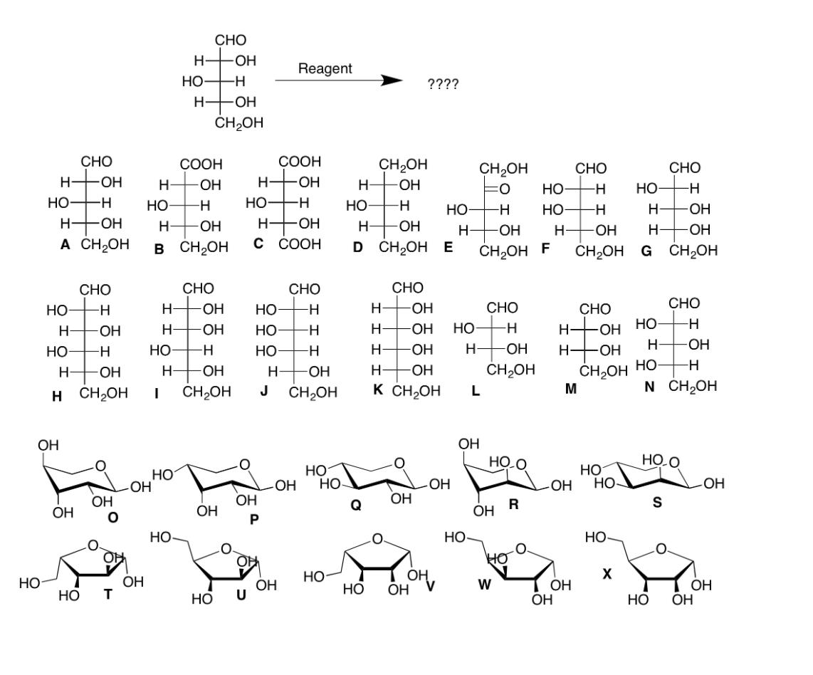 Solved Reagent CHO H-OH НО-НН Н -ОН CH2OH ???? CHO H-OH | Chegg.com