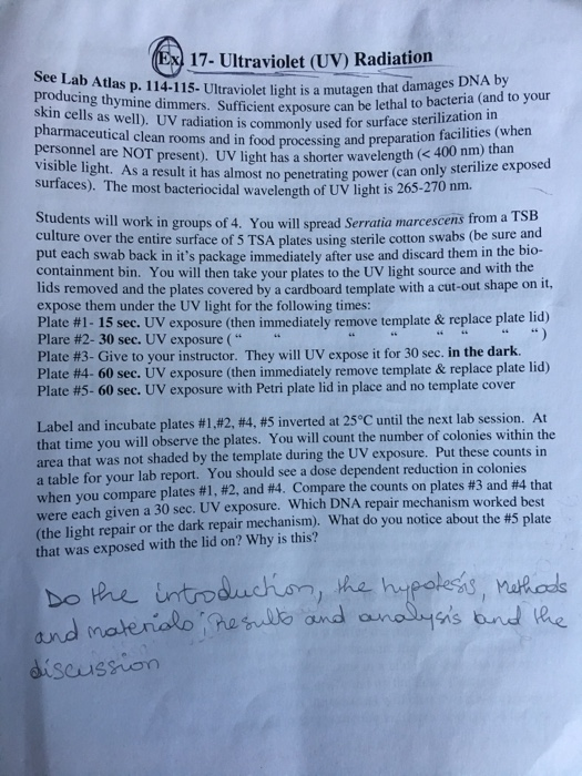 Solved 17- Ultraviolet (UV) Radiation See Lab Atlas p. | Chegg.com