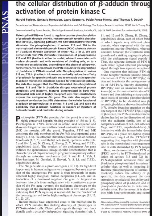 Solved What conclusions can be drawn from the results in the | Chegg.com