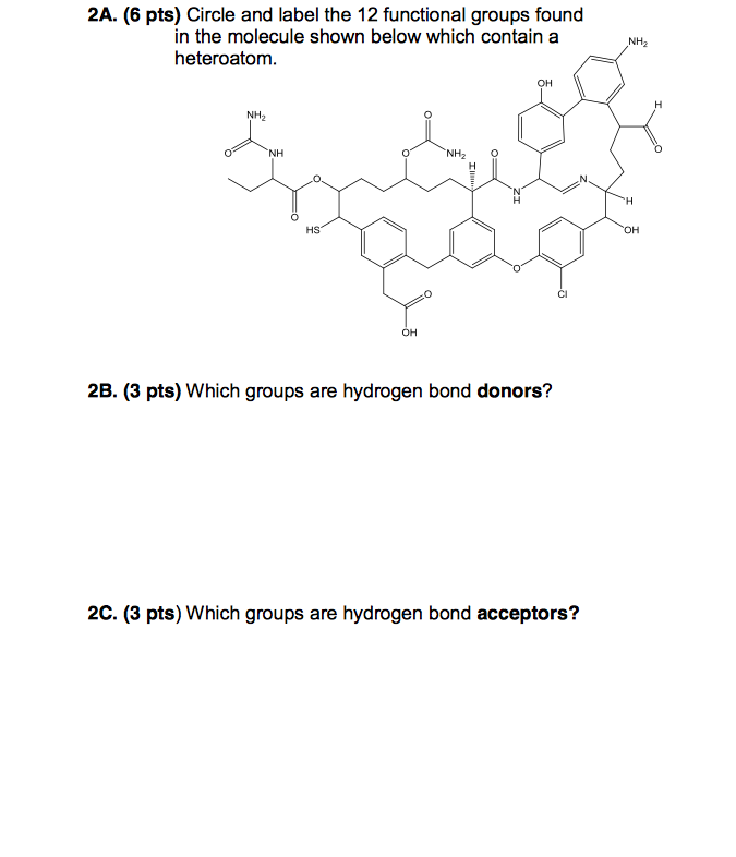 Solved 2A. (6 pts) Circle and label the 12 functional groups | Chegg.com