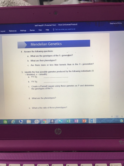 Solved Stephanie M lab014exp001 (Protected View) - Word | Chegg.com