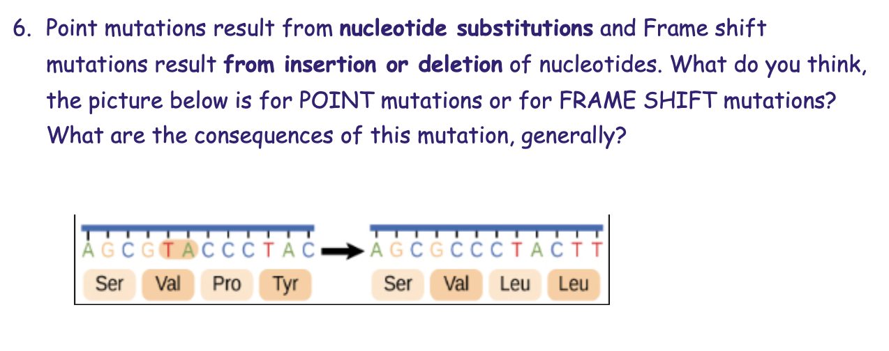 Solved 6. Point mutations result from nucleotide | Chegg.com