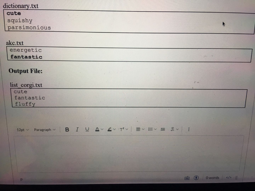 Solved Function Name Findcorgi Inputs 1 Char Name Of
